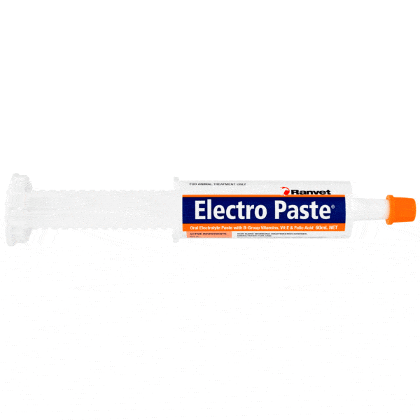 Electro Paste® | Ranvet