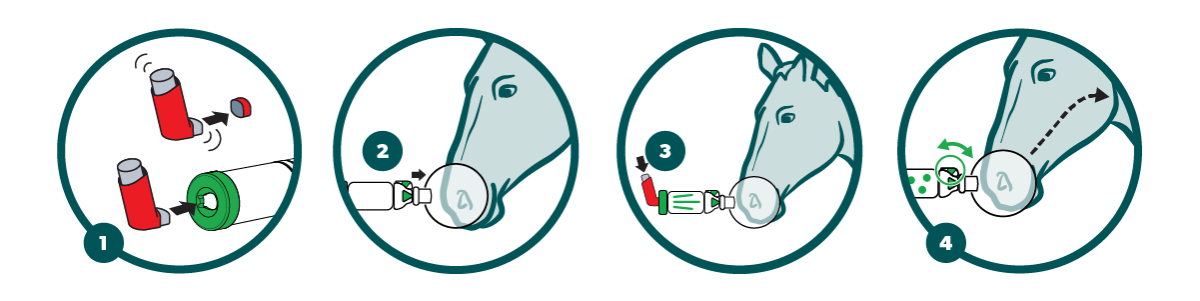 AeroHippus Replacement Mask | Ranvet