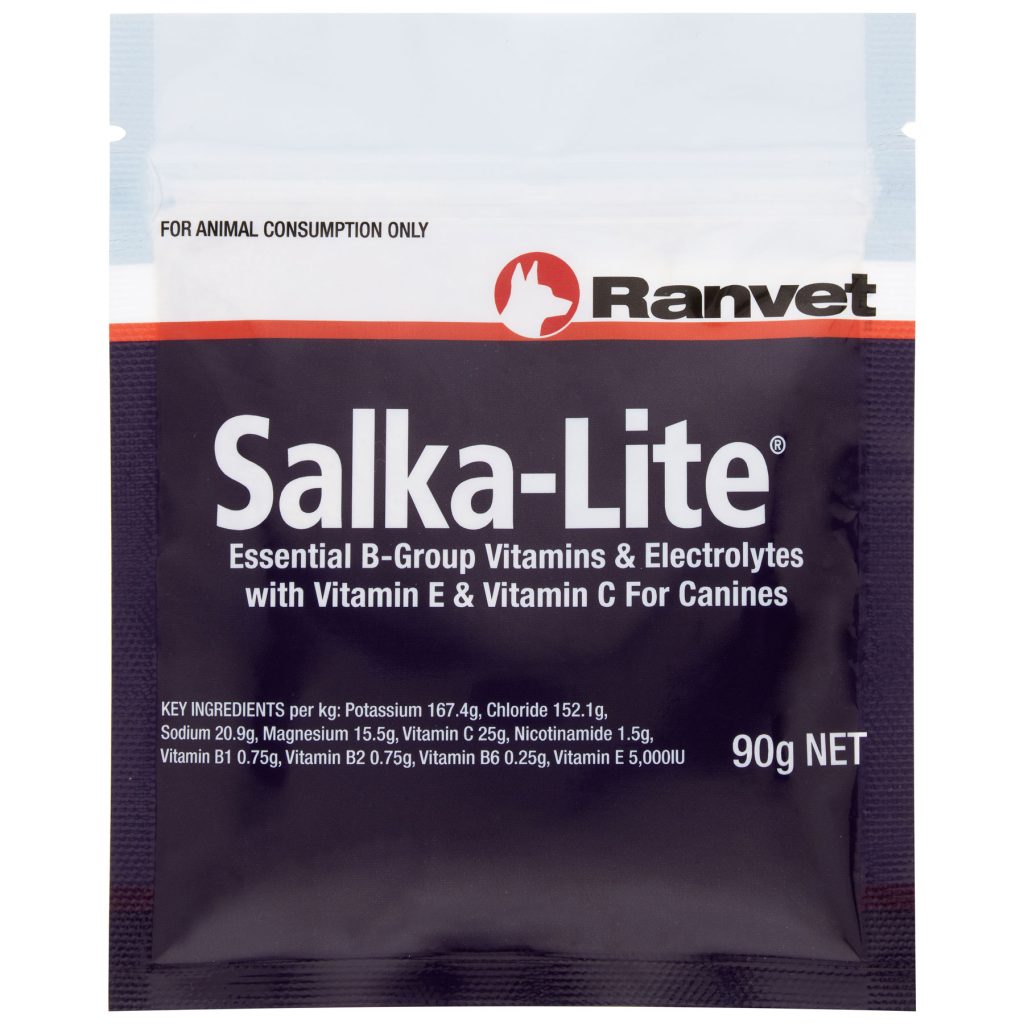 Active Dog Sachet Range | Ranvet