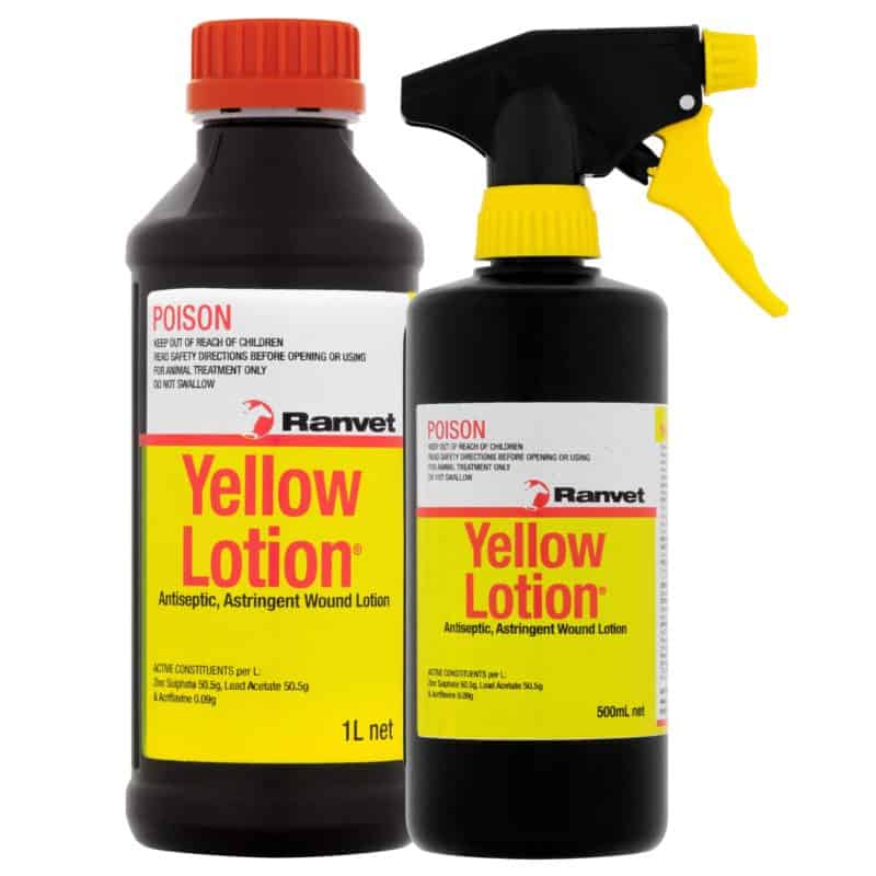 Yellow Lotion® For the Treatment of Proud Flesh | Ranvet