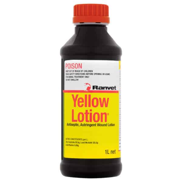 Yellow Lotion® For the Treatment of Proud Flesh | Ranvet