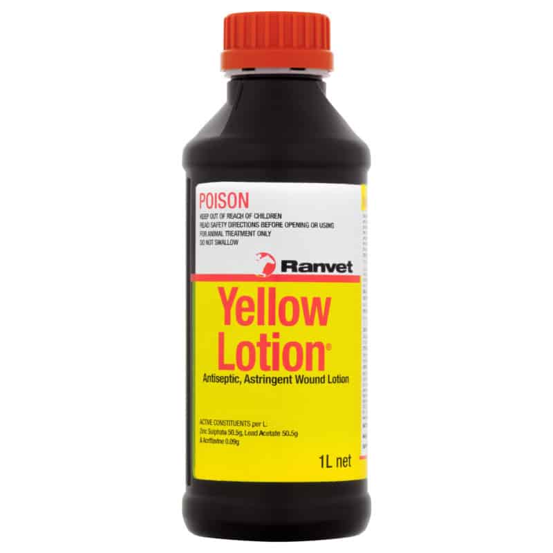Yellow Lotion® For the Treatment of Proud Flesh | Ranvet