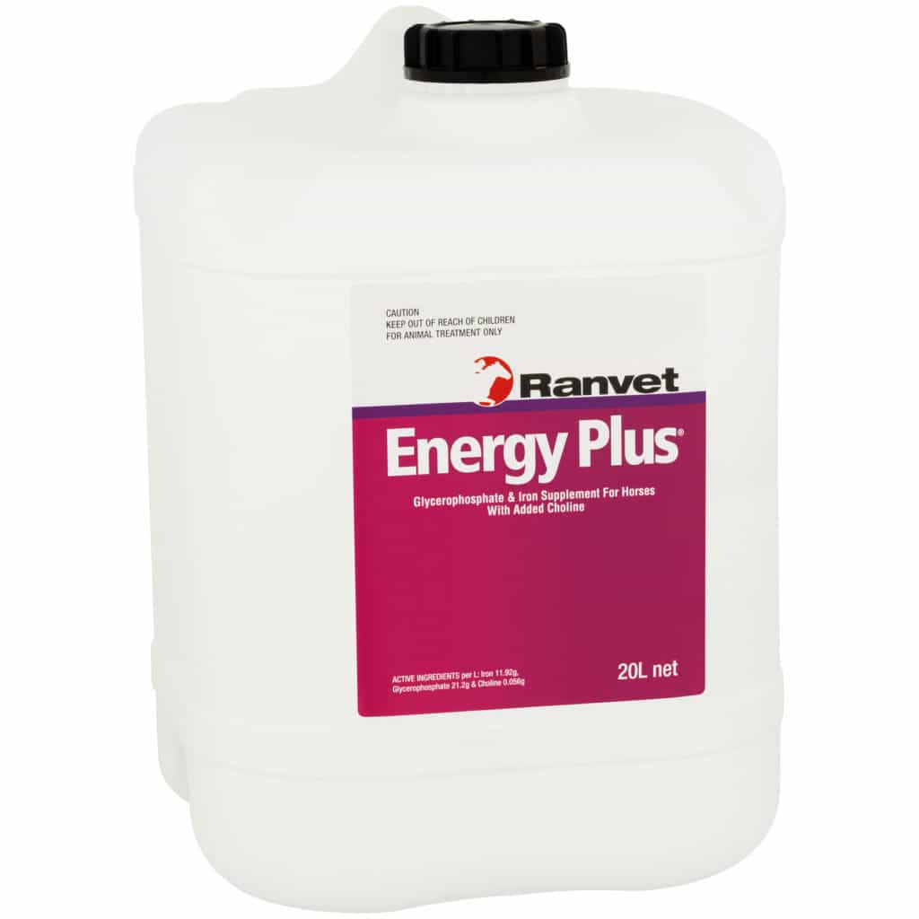 Energy Plus | Ranvet