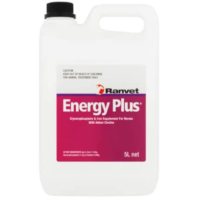 Energy Plus | Ranvet