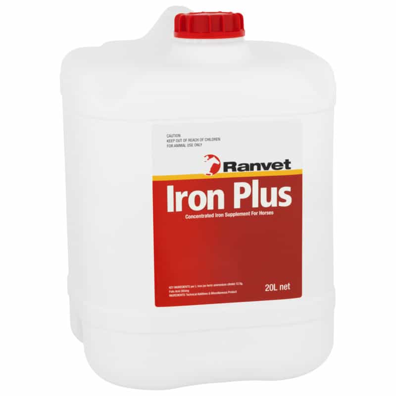 Iron Plus | Ranvet