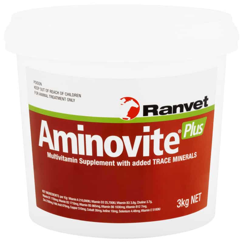 Aminovite Plus | Ranvet