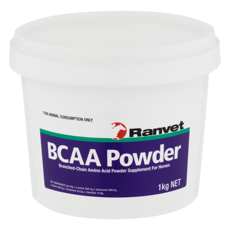 BCAA Powder | Ranvet