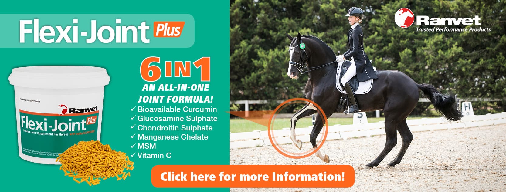 The benefits of Equine Massage- a Popular Alternative Therapy | Ranvet