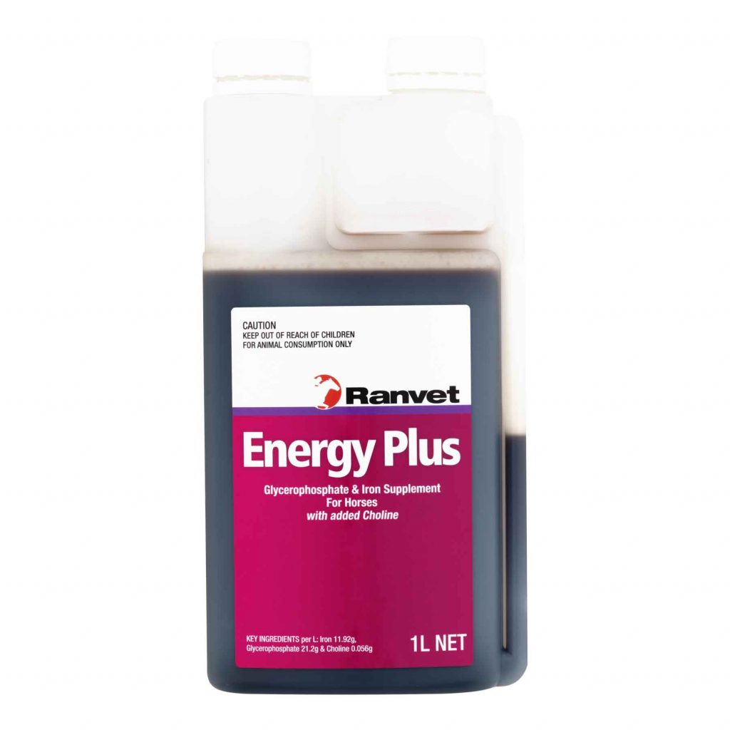 Energy Plus | Ranvet