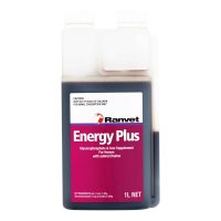 Energy Plus | Ranvet