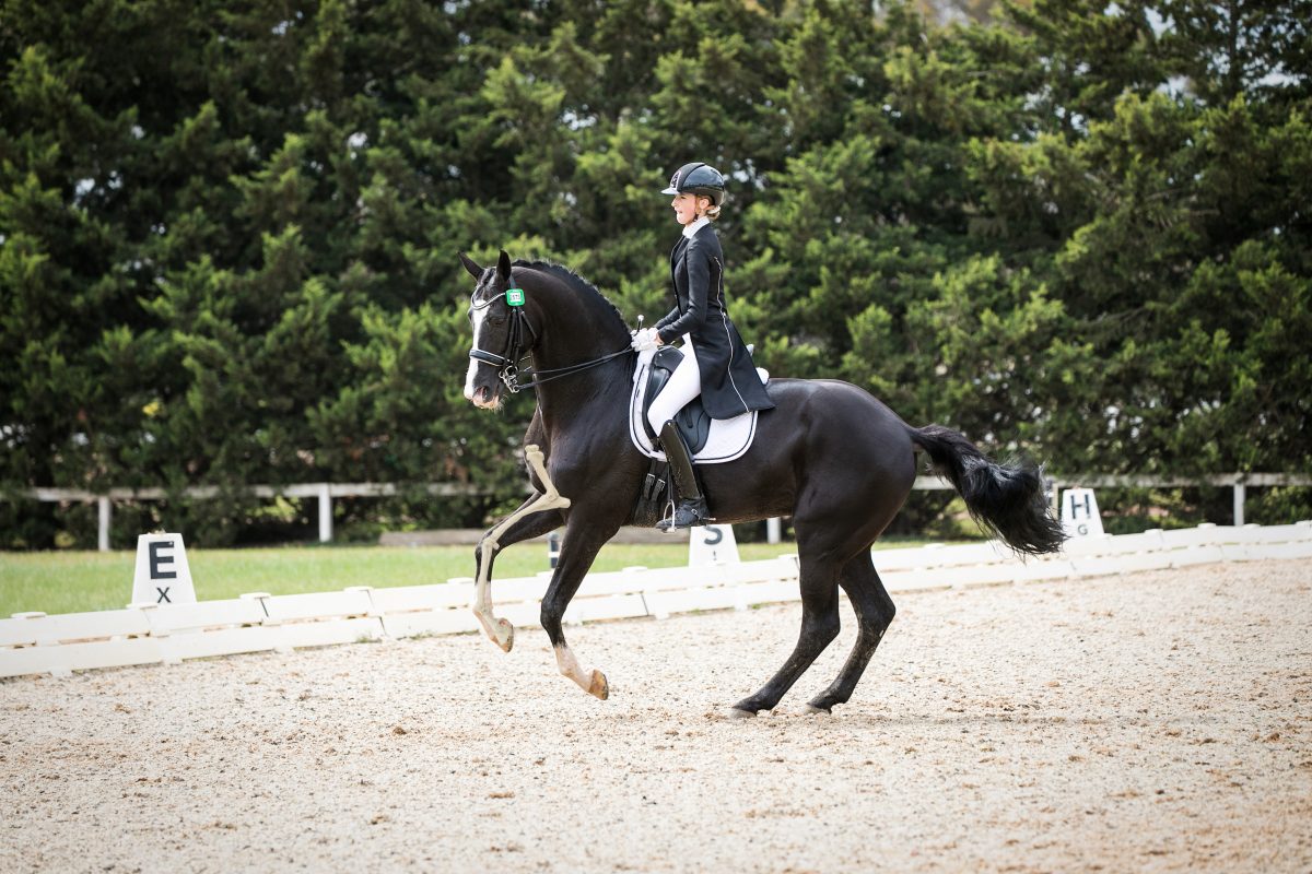 Jess + Stallion-2 | Ranvet