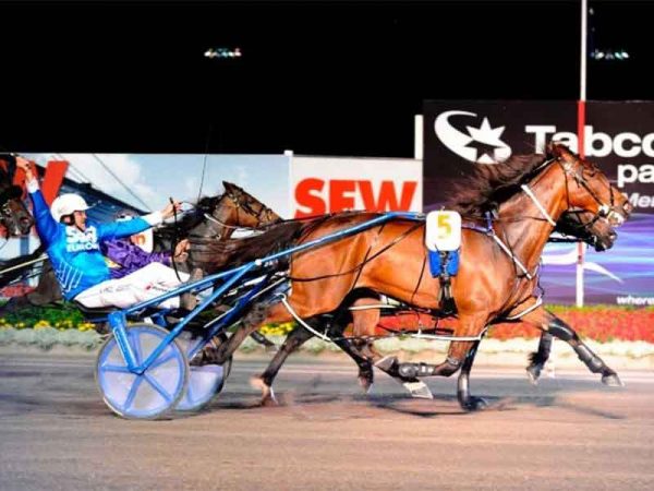 Sponsored Performance Riders Team | Ranvet