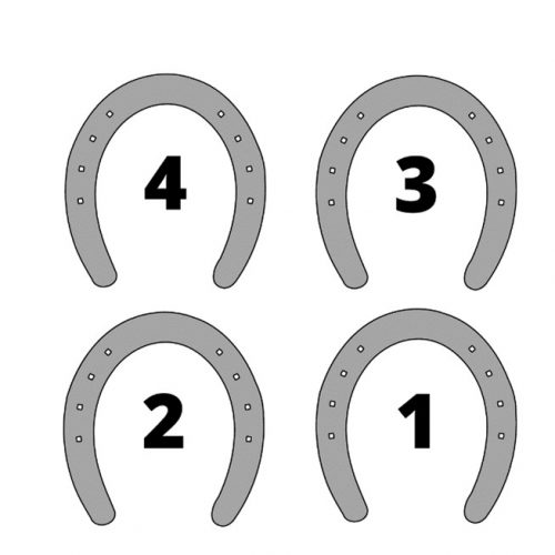 Horse Gait- What are the four paces of a horse? | Ranvet