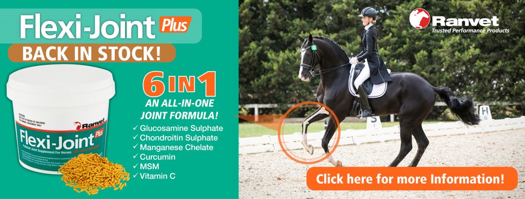 Ranvet | The World Leader in Equine Nutrition