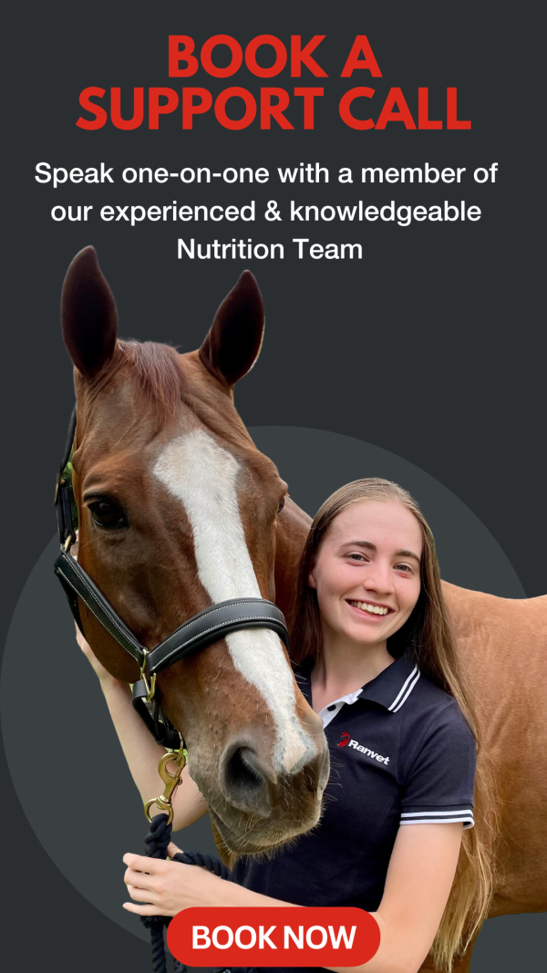 Electrolytes & Rehydration Archives | Ranvet