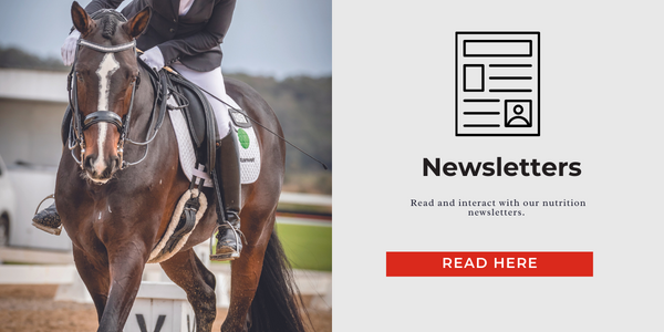 Newsletters1 | Ranvet