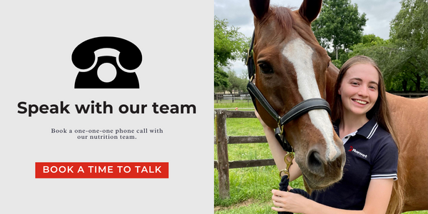 Speak with our team1 | Ranvet