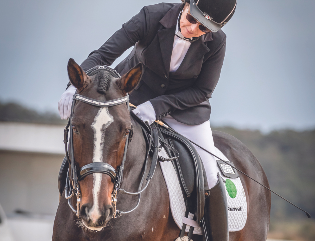 Effective Strategies for Managing Equine Stress During Competition | Ranvet