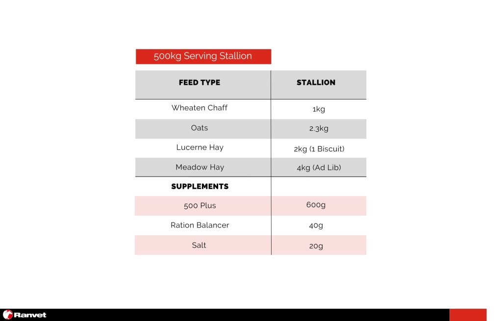 Stallion | Ranvet