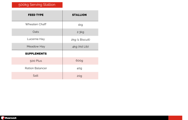 Serving Stallion Ration | Ranvet