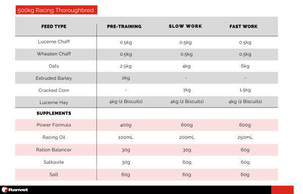 Thoroughbred Racehorse Diet | Ranvet