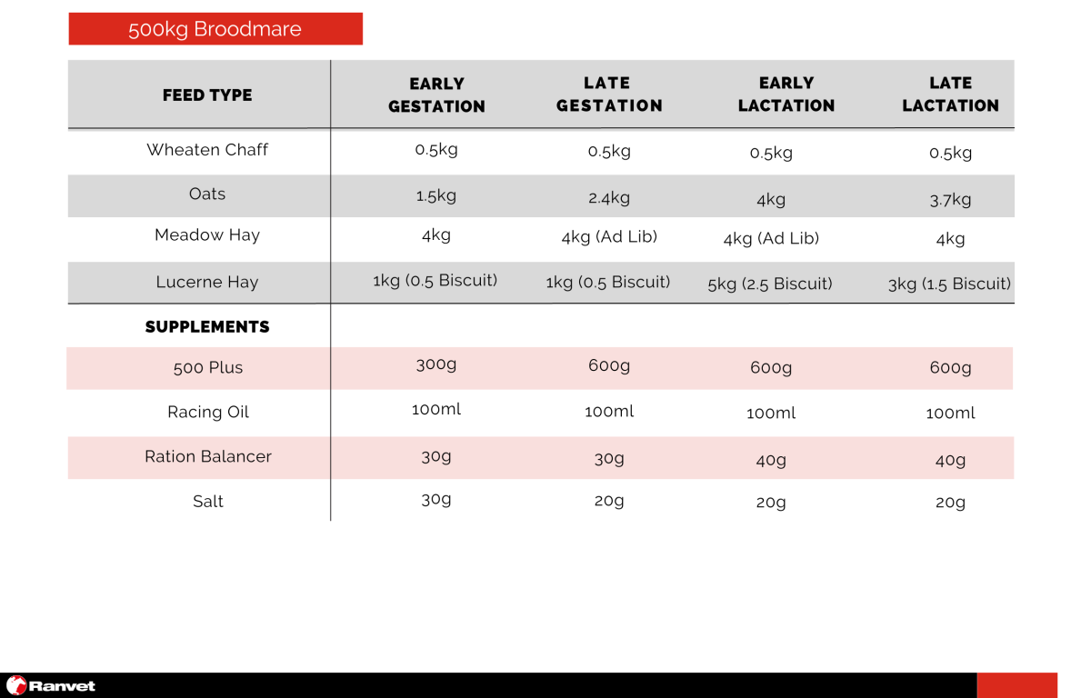 Broodmare Rations | Ranvet