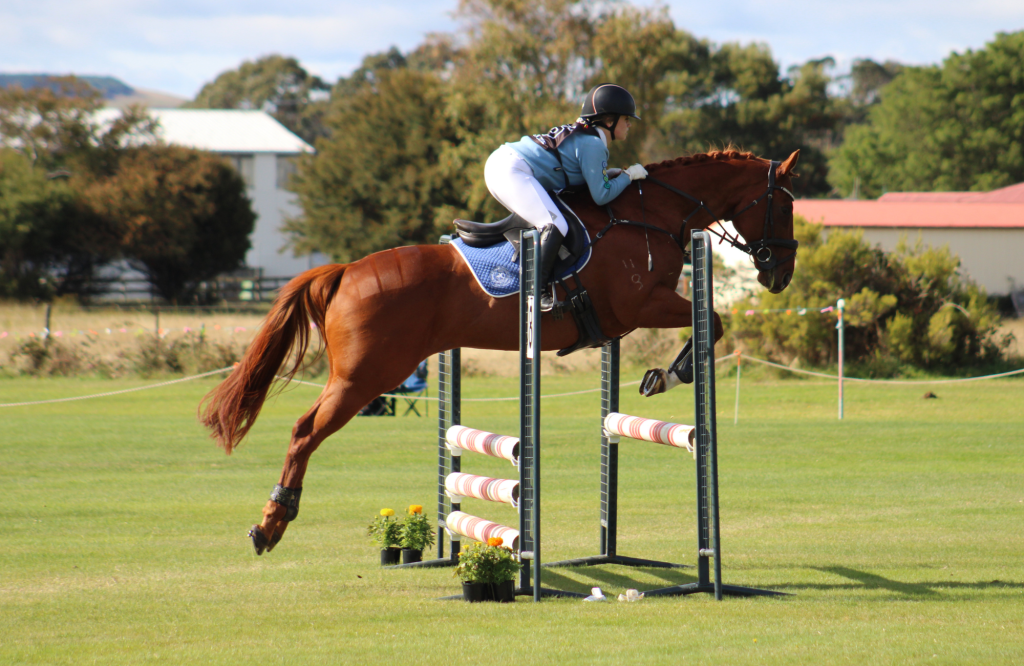 Oil and Its Benefits | Ranvet