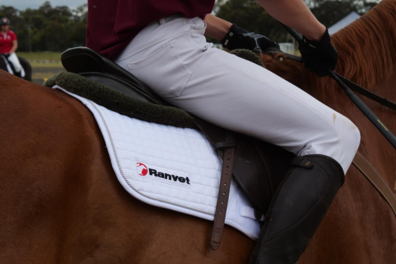 Performance & Recovery | Ranvet