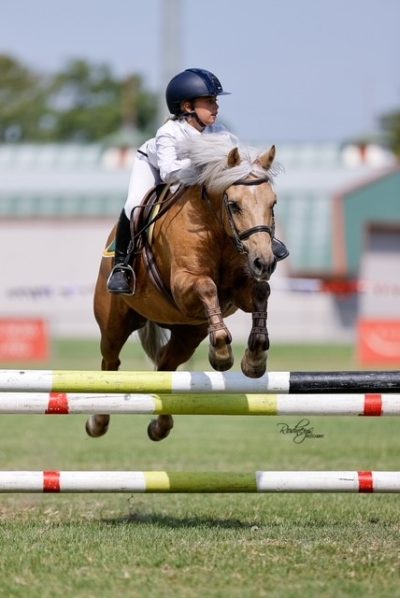 Skye jumping | Ranvet