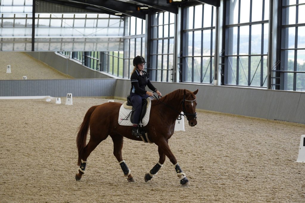 Dressage training | Ranvet